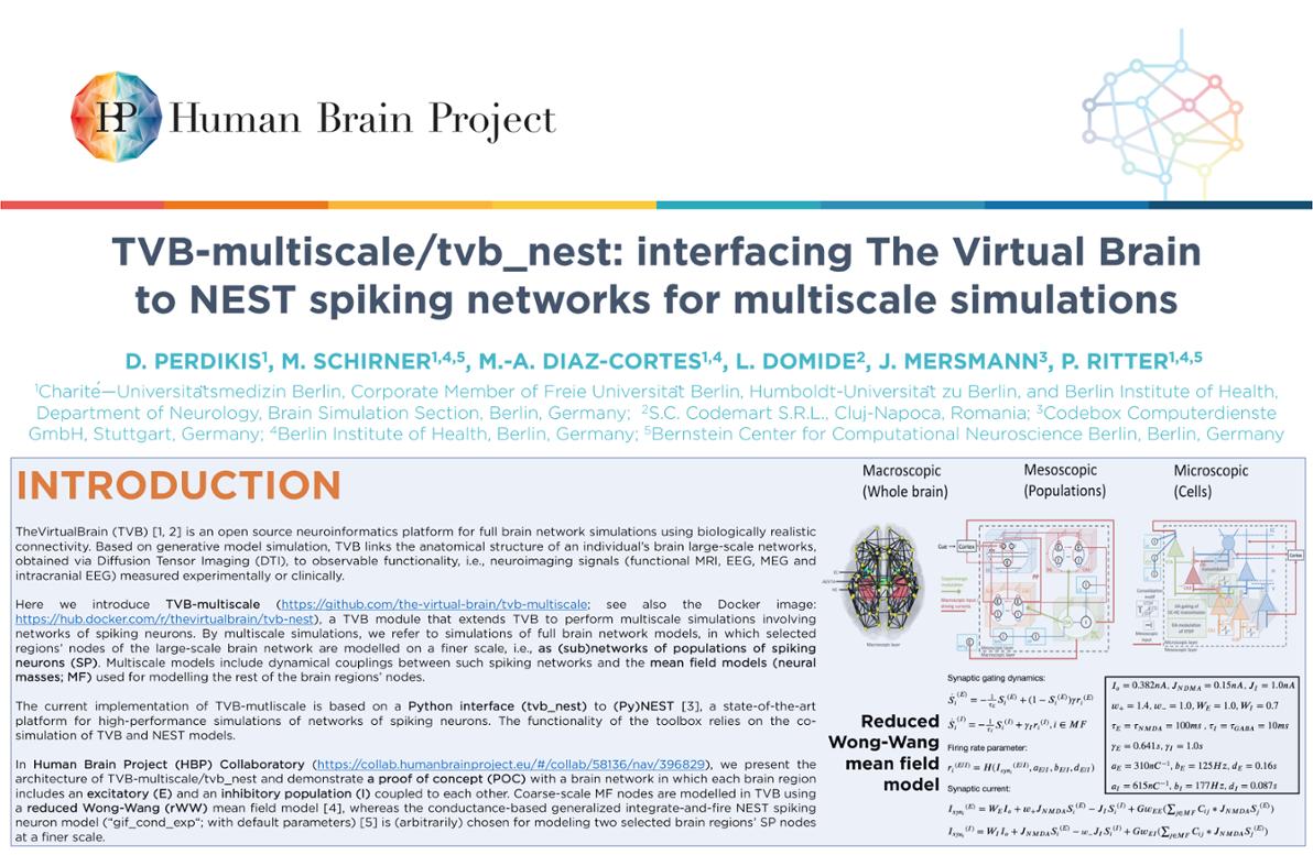Brain Simulation Section Tvb Nest Co Simulation News